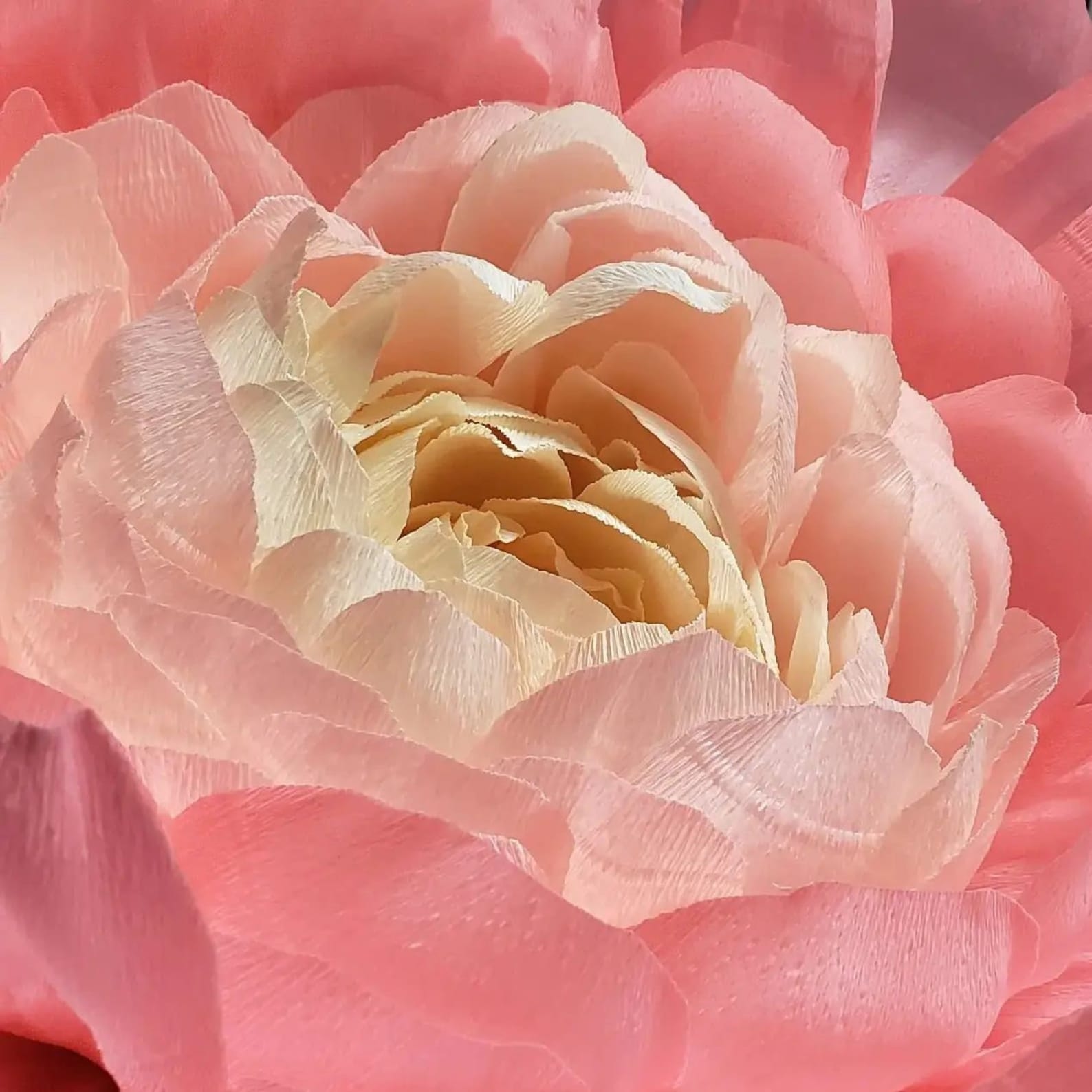 Extra Large 18" Crepe Paper Flowers - Etsy