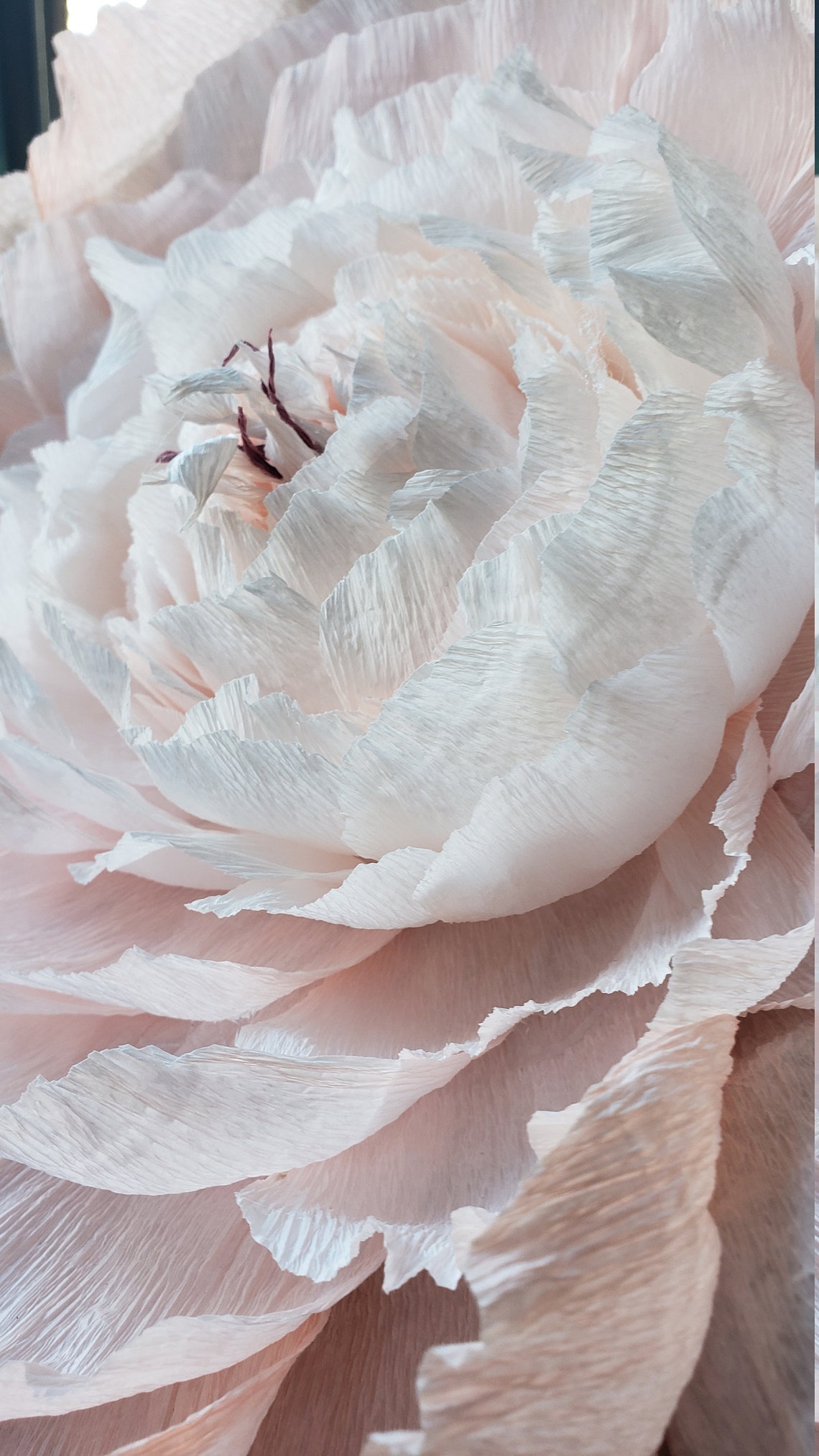 Extra Large 18 Crepe Paper Flowers - Etsy