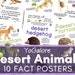Desert Animal Facts: Posters for the Classroom or Playroom | Etsy
