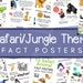 Safari Animal Jungle Animal Theme Fact Posters With Yoga Poses for ...