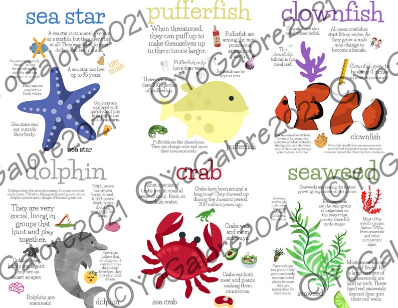 Ocean Life Fact Posters and Cards - Etsy