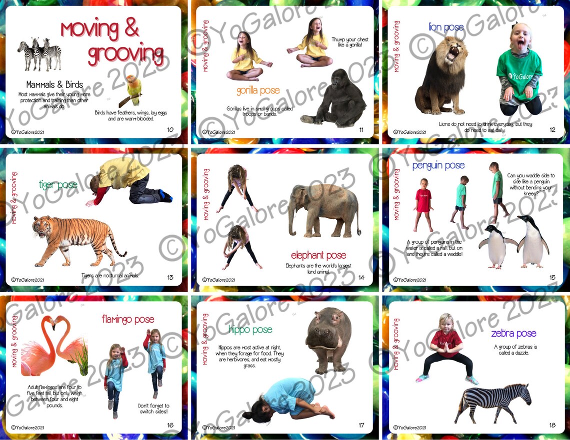 Zoo Theme Yoga & Movement Pose Cards With STEM Activity - Etsy