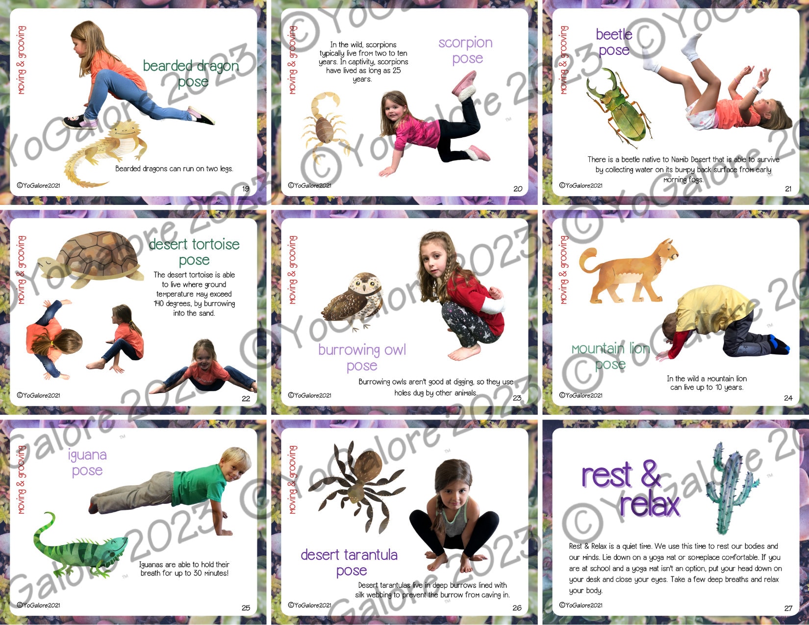Desert Animal Yoga Pose Cards & Educational Bundle for Early Learning ...