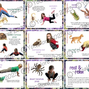 Desert Animal Yoga & Movement Pose Cards - Fun and Engaging Activity ...