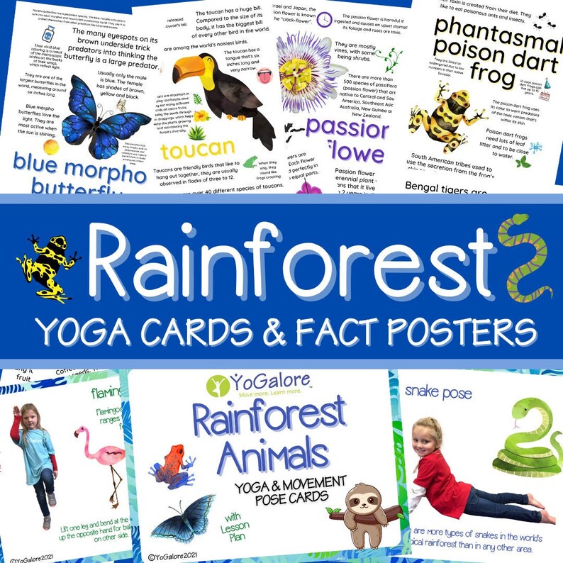 Rainforest Theme Yoga Pose Cards and Rainforest Fact Posters - Etsy