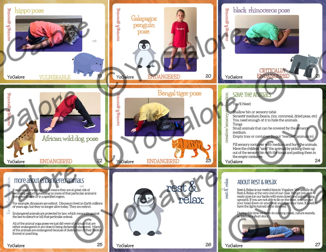 Endangered Animal Yoga & Movement Cards and Lesson Plan | Etsy