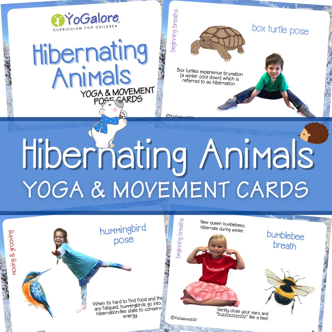 Hibernating Animals Yoga & Movement Pose Cards - Etsy