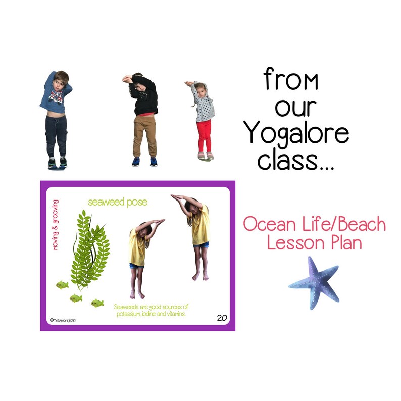 Ocean Animals | Ocean Life Yoga & Movement Pose Cards With Lesson Plan ...
