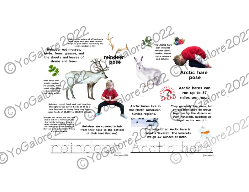 Arctic Animal Posters With Yoga Poses | Mindful Movement for Kids - Etsy