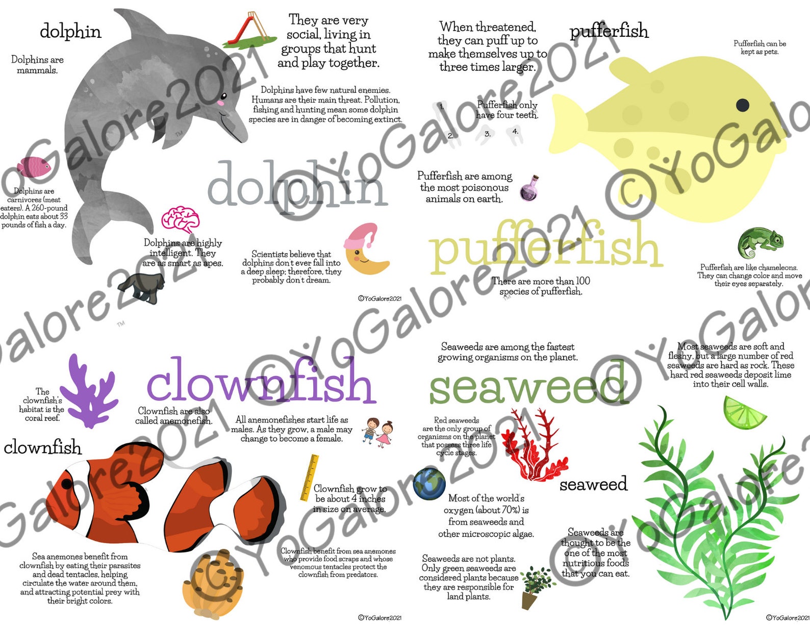 Ocean Life Fact Posters and Cards - Etsy