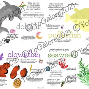 Ocean Life Fact Posters and Cards - Etsy