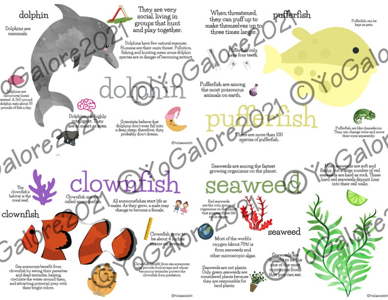 Ocean Life Fact Posters and Cards - Etsy