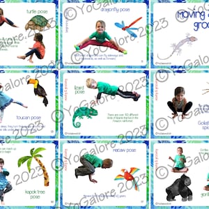 Rainforest Animals Yoga & Movement Pose Cards - Etsy