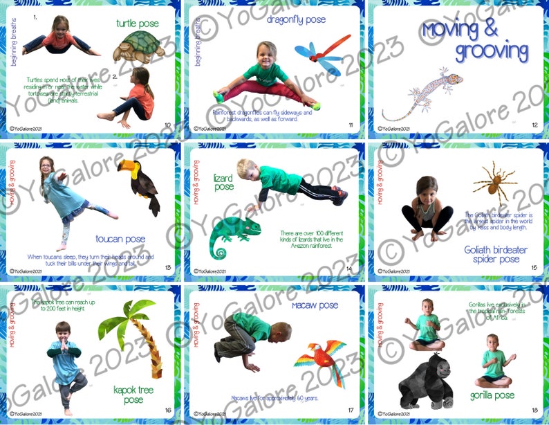 Rainforest Animals Yoga & Movement Pose Cards - Etsy