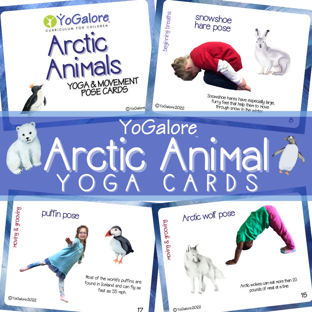 Winter Theme Bundle Yoga & Movement Cards - Etsy