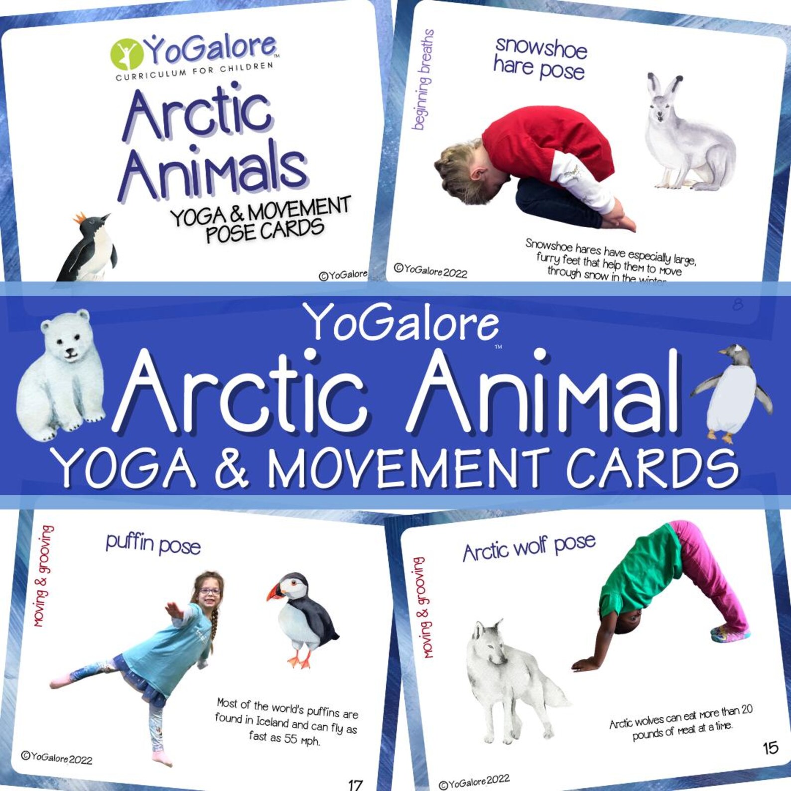 Arctic Animal Yoga Pose Cards for Kids | Mindful Movement Game, Brain ...