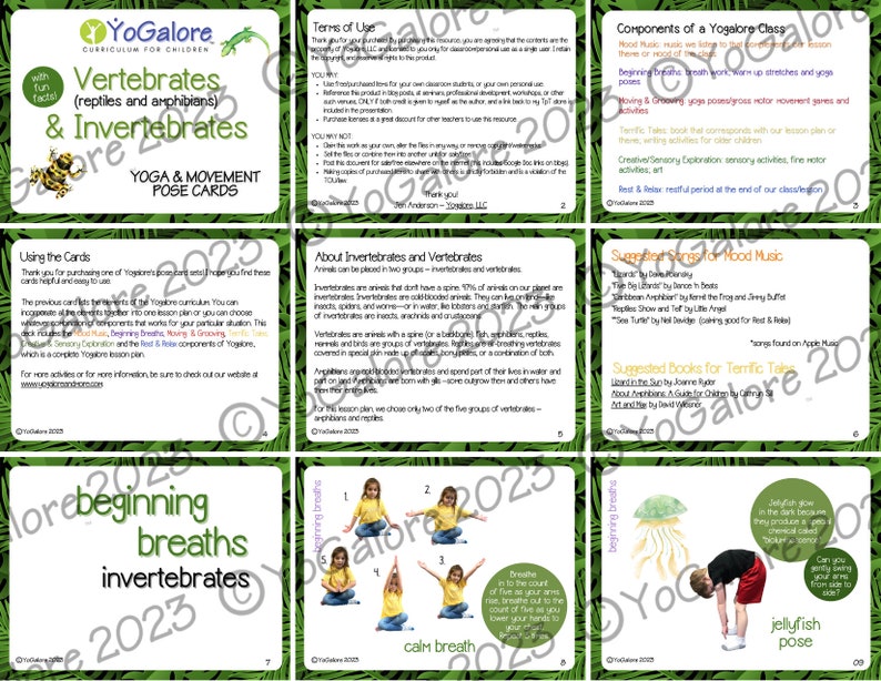 Reptiles, Amphibians and Invertebrates Yoga & Movement Pose Cards - Etsy