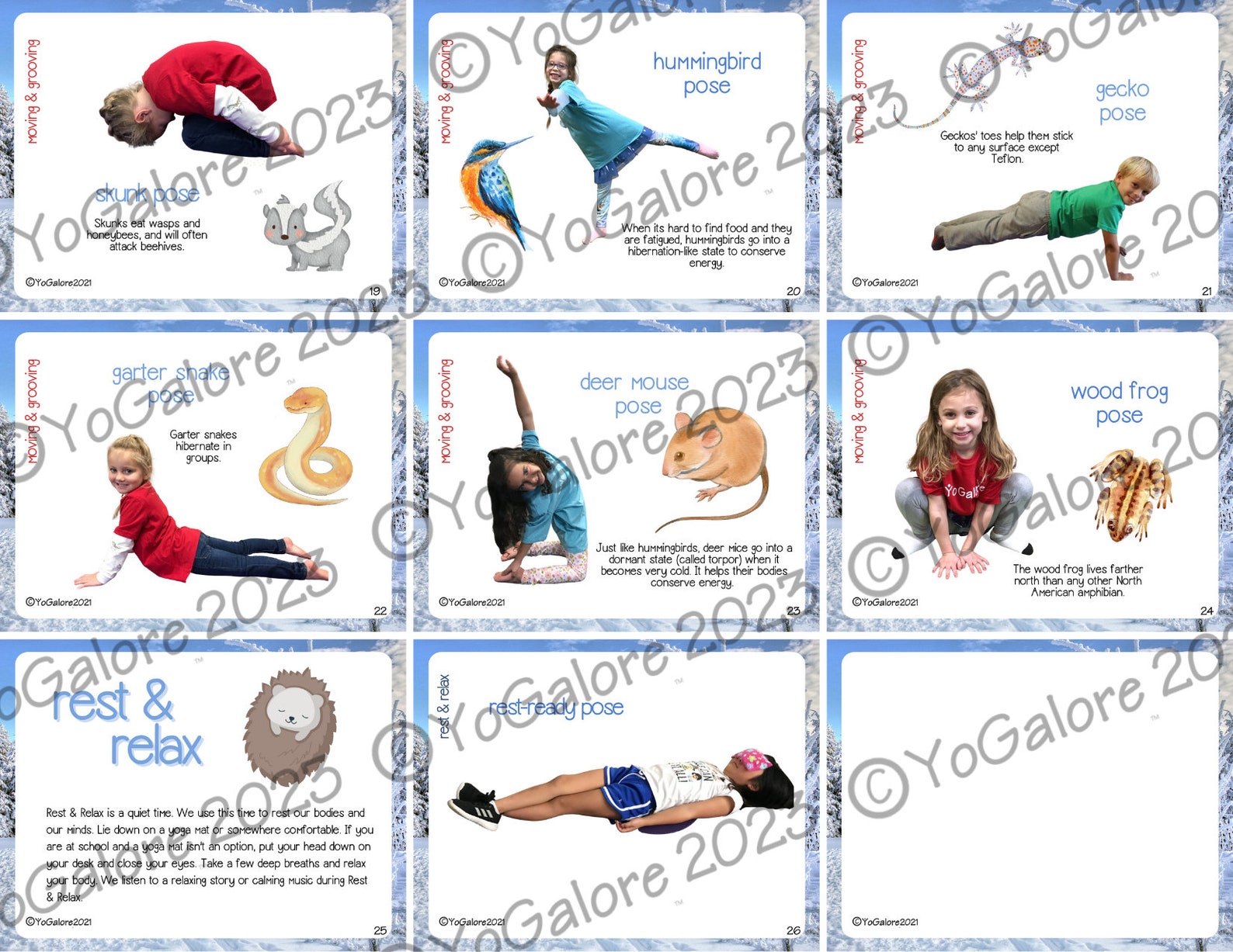 Hibernating Animals Yoga & Movement Pose Cards - Etsy