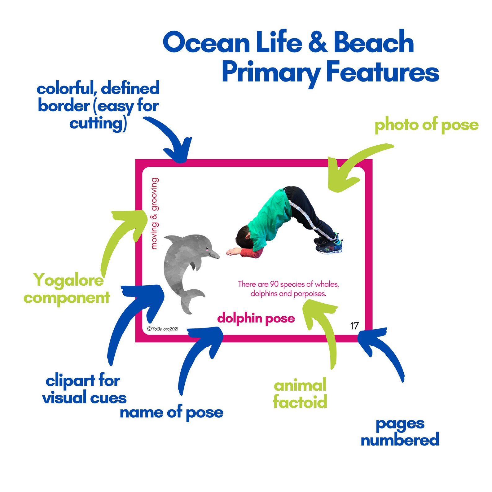 Ocean Animals Ocean Life Yoga & Movement Pose Cards With - Etsy