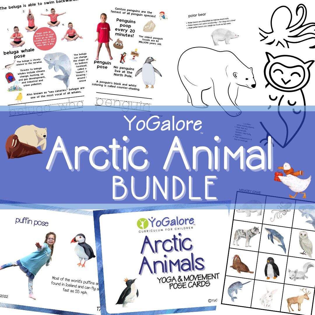 Arctic Animal Yoga Fun Pack: Yoga Pose Cards, Fact Posters and Learning ...