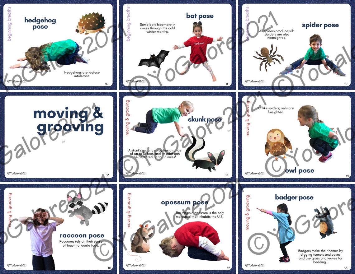 Nocturnal Animals Yoga & Movement Pose Cards - Etsy