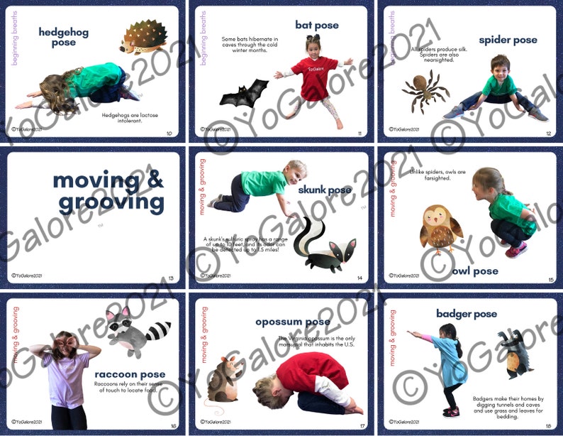 Nocturnal Animals Yoga & Movement Pose Cards - Etsy
