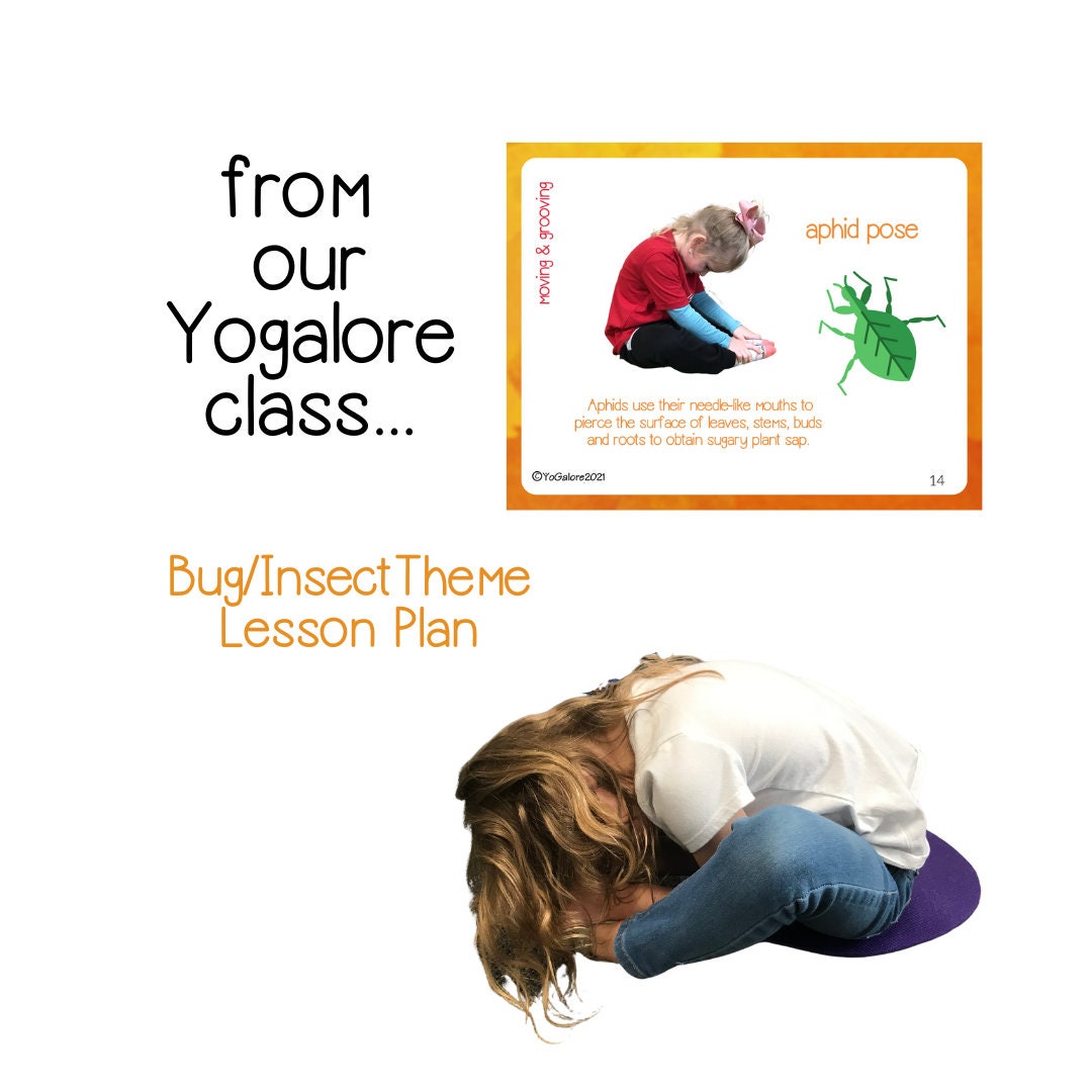 Bugs and Insects Yoga Pose Cards for Kids, Gross Motor Movement for ...