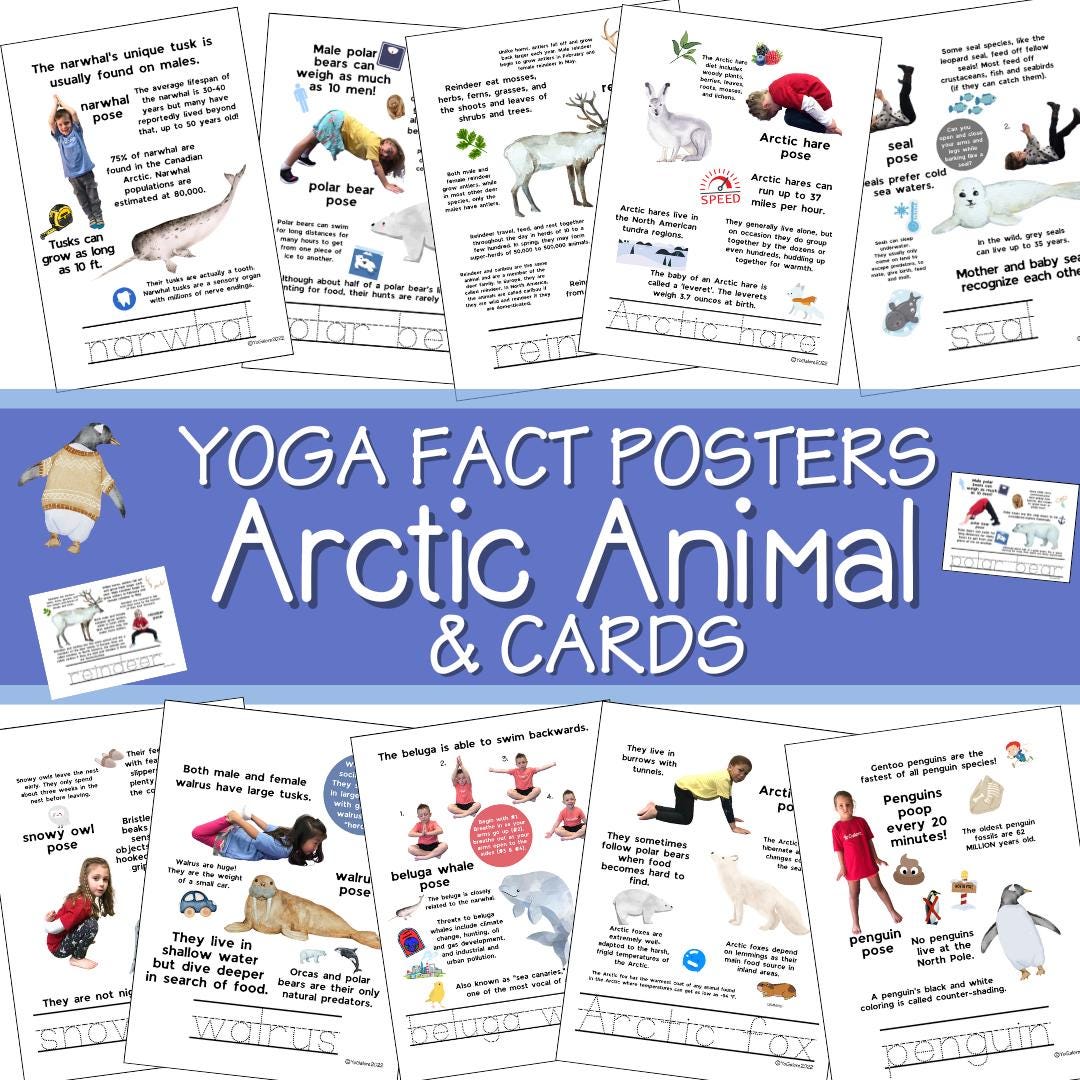 Arctic Animal Posters With Yoga Poses | Mindful Movement for Kids - Etsy