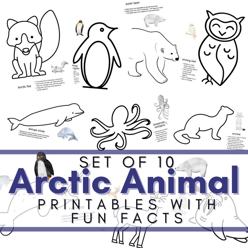 Arctic Animal Printables With Fun Facts | Etsy