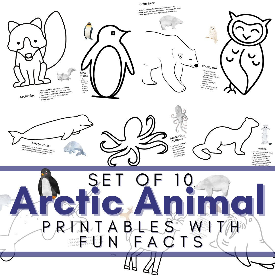 Arctic Animal Printables With Fun Facts | Etsy
