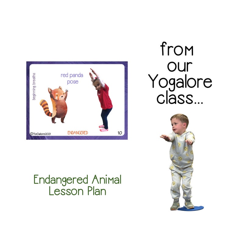Preschool Themes Movement Bliss: Yoga & Activity Pose Cards for ...