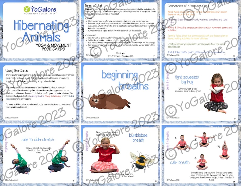 Hibernating Animals Yoga & Movement Pose Cards - Etsy