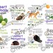 Desert Animal Facts: Posters for the Classroom or Playroom - Etsy