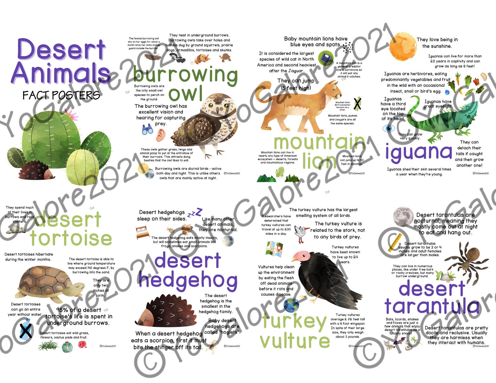 Desert Animal Facts: Posters for the Classroom (or Playroom!) - Etsy