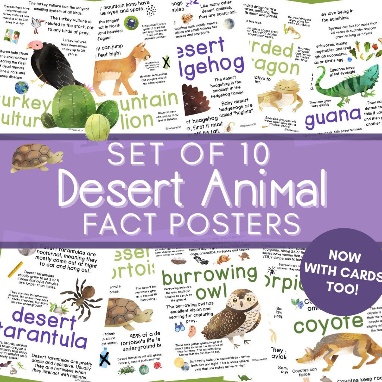 Desert Animal Facts: Posters for the Classroom (or Playroom!) - Etsy