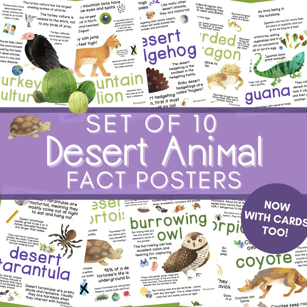 Desert Animal Facts: Posters for the Classroom (or Playroom!) - Etsy