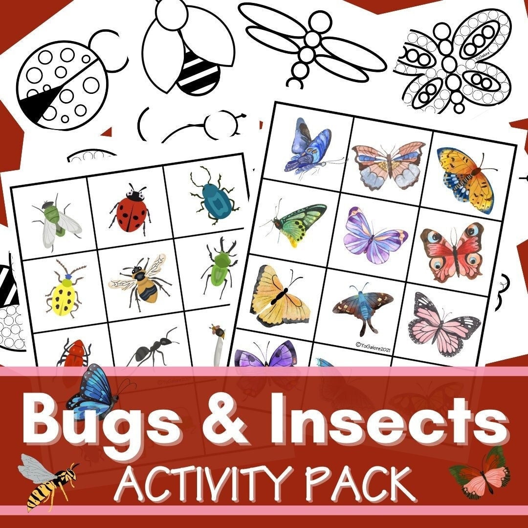 Bug Insect Activity Pack: Dot Marker Printables and Memory - Etsy