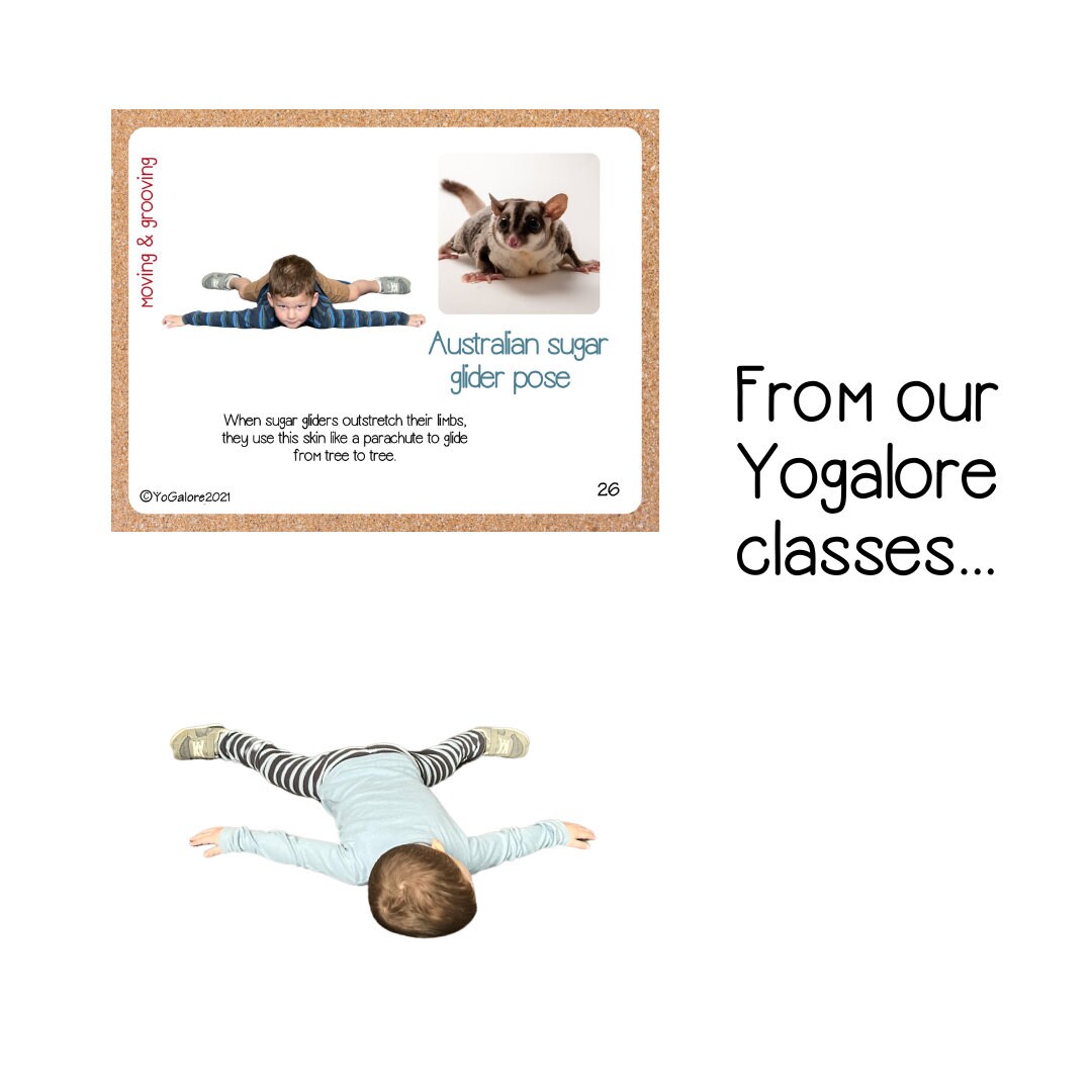 Australian Outback Animal Yoga & Movement Pose Cards Educational and ...
