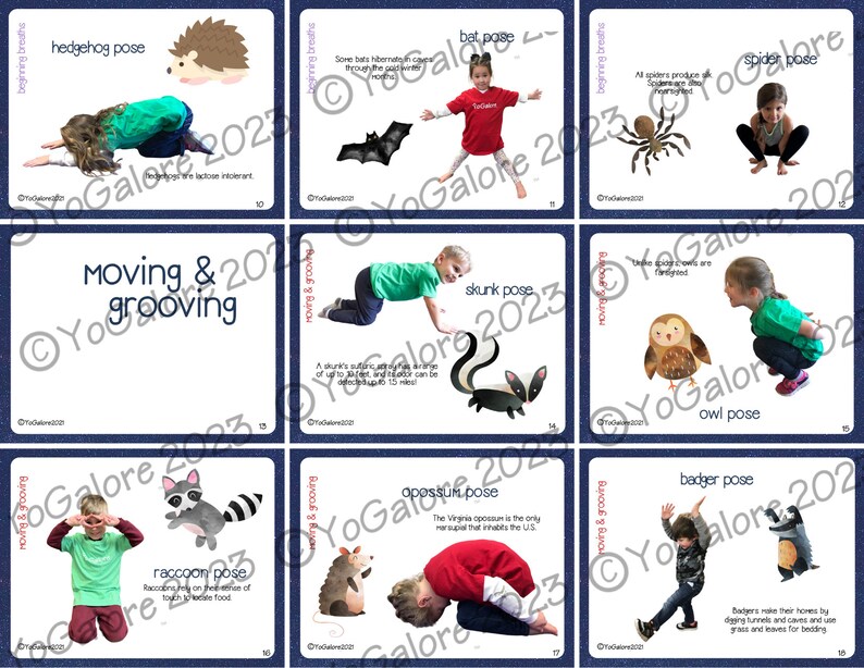 Nocturnal Animals Yoga & Movement Pose Cards - Etsy
