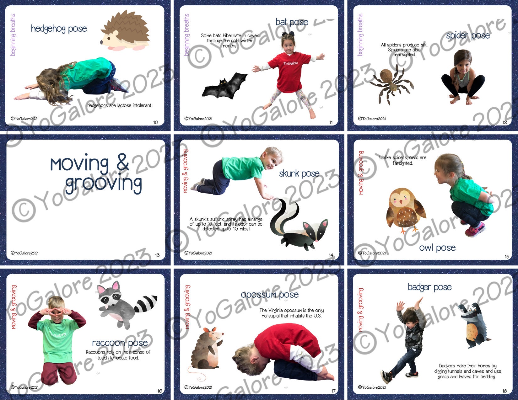 Nocturnal Animals Yoga & Movement Pose Cards - Etsy