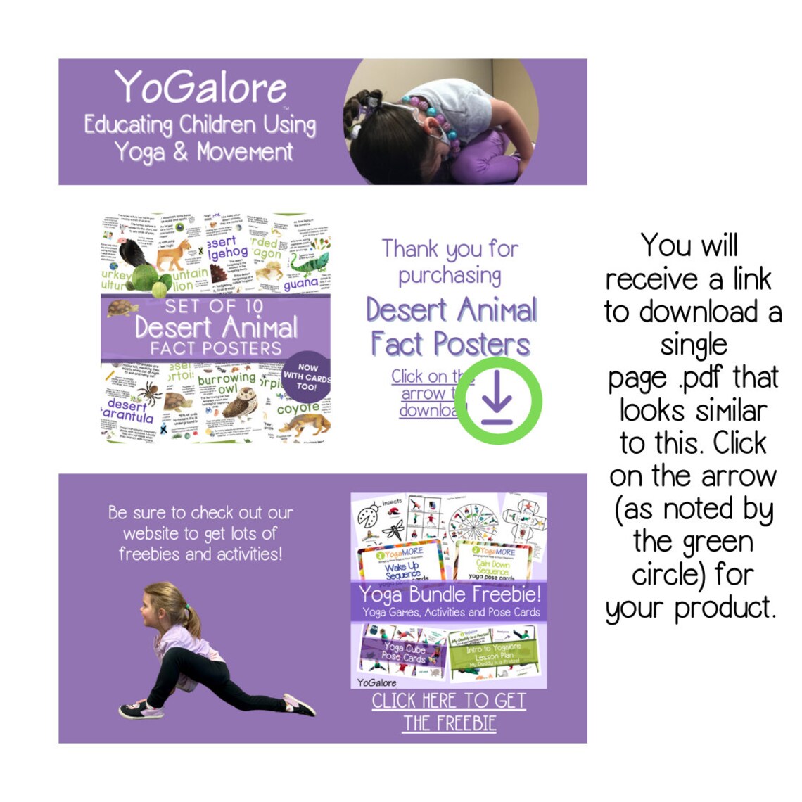 Desert Animal Facts: Posters for the Classroom (or Playroom!) - Etsy