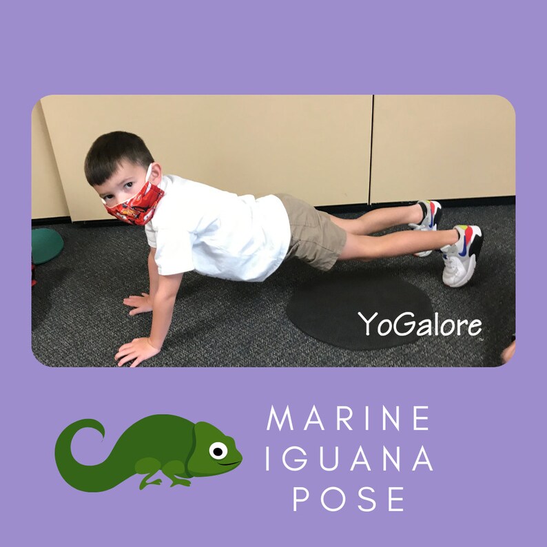 Endangered Animal Yoga & Movement Cards and Lesson Plan | Etsy