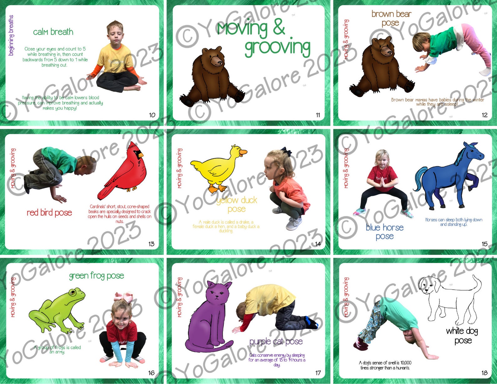 Brown Bear, Brown Bear What Do You See? Yoga & Movement Pose Cards - Etsy