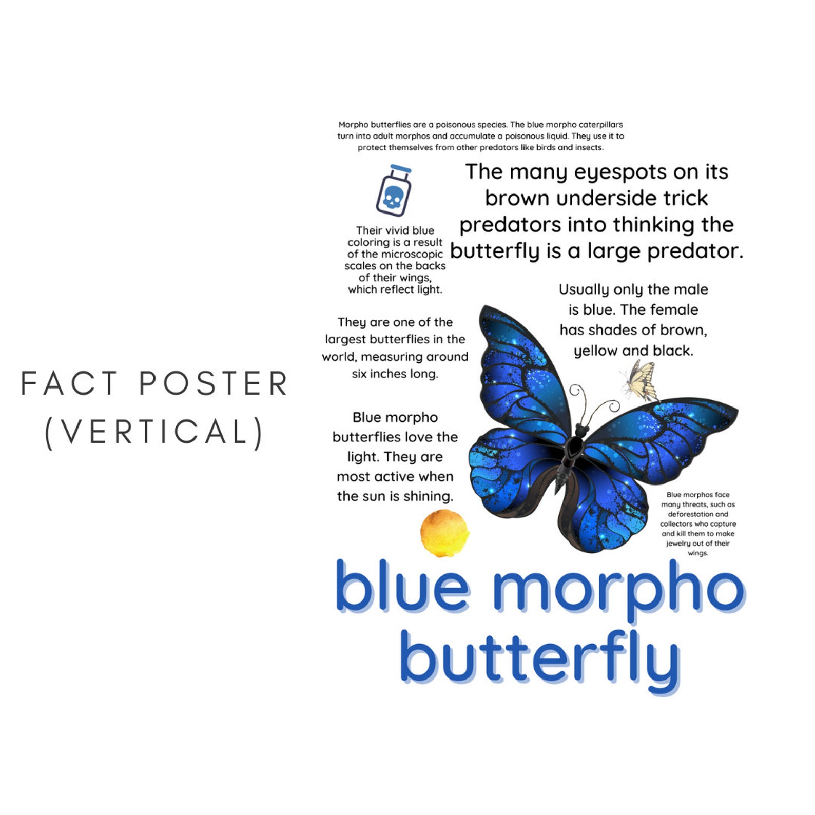 Rainforest Theme Yoga Pose Cards and Rainforest Fact Posters - Etsy