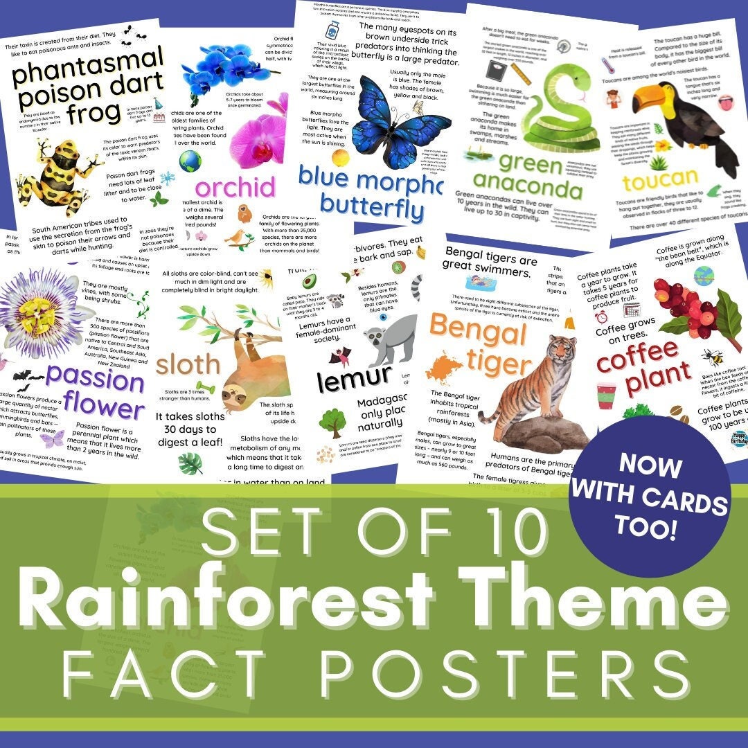 Facts About the Rainforest: Set of 10 Posters - Etsy