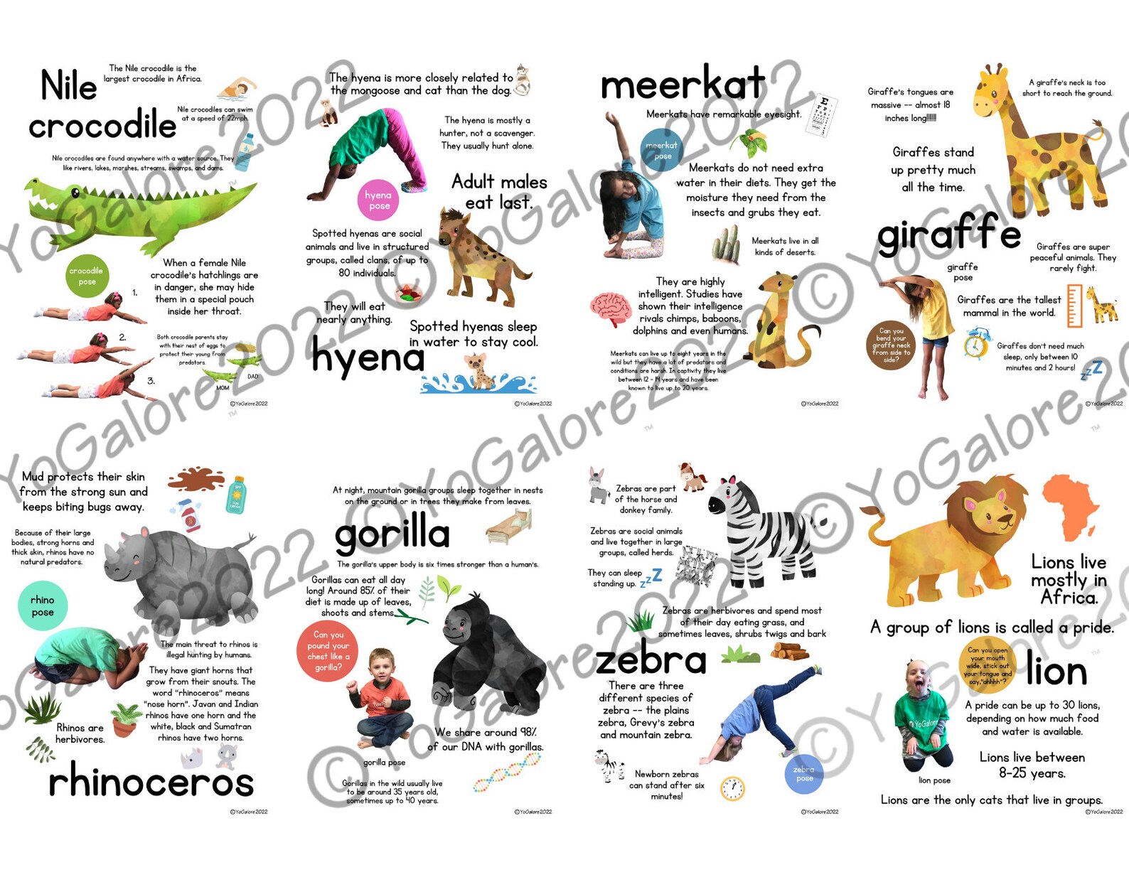 Safari Animal Jungle Animal Theme Fact Posters With Yoga Poses for ...