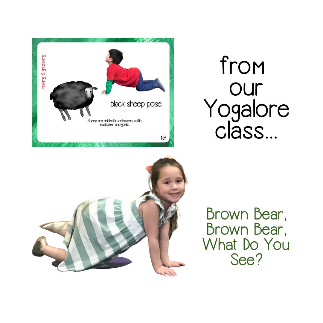 Brown Bear, Brown Bear What Do You See? Yoga & Movement Pose Cards - Etsy