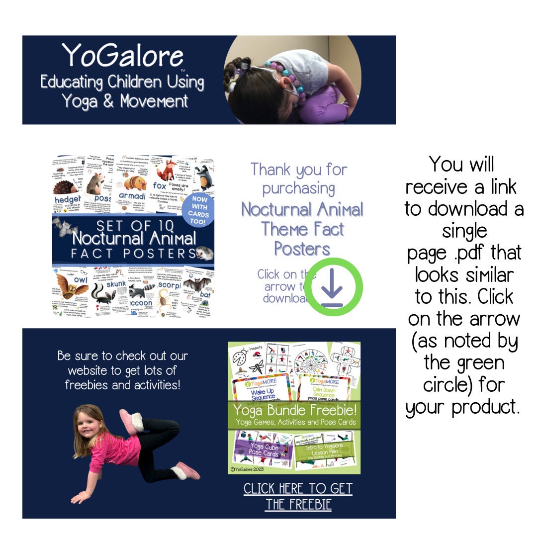 Nocturnal Animal Theme Fact Posters for Preschool and Kindergarten - Etsy