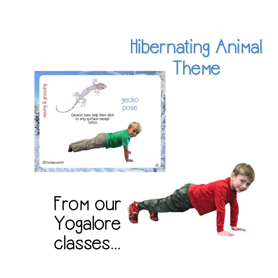 Hibernating Animals Yoga & Movement Pose Cards - Etsy