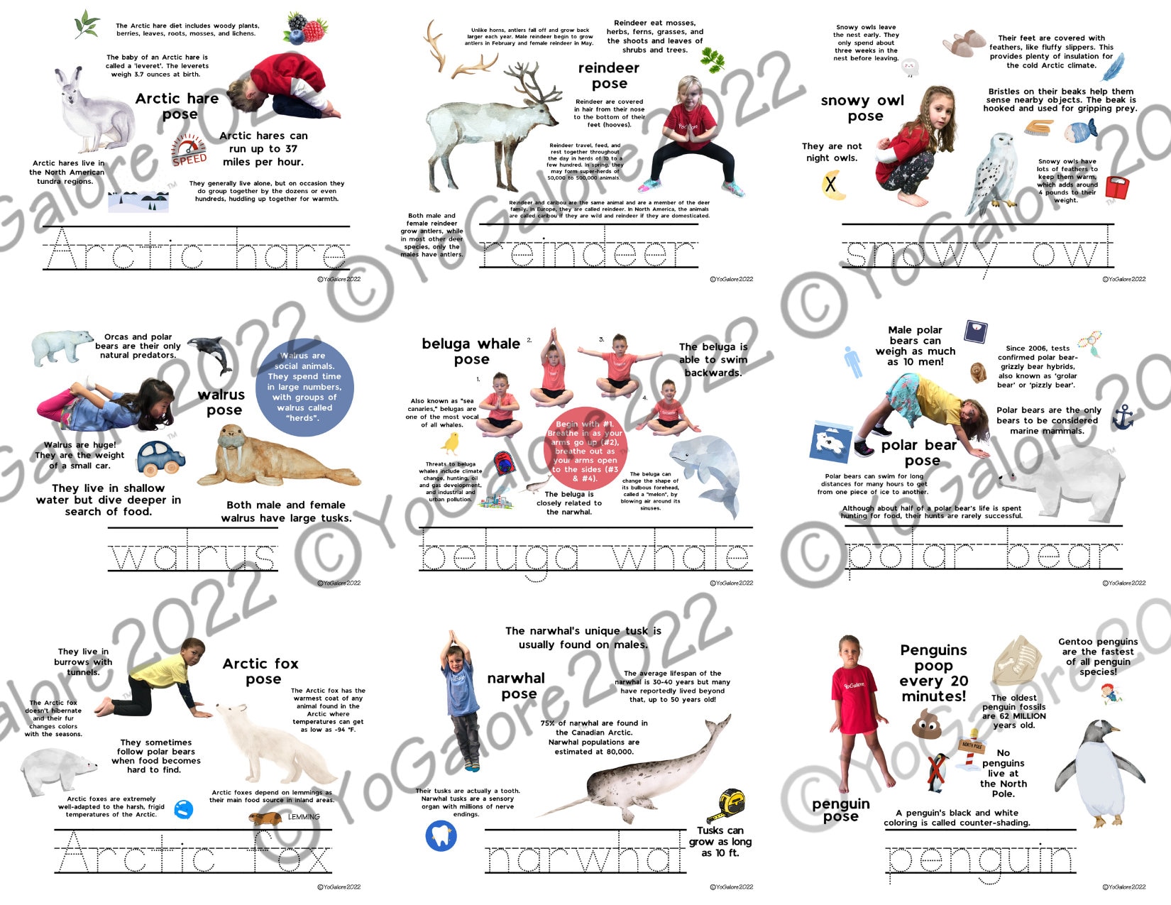 Arctic Animal Posters With Yoga Poses | Mindful Movement for Kids - Etsy